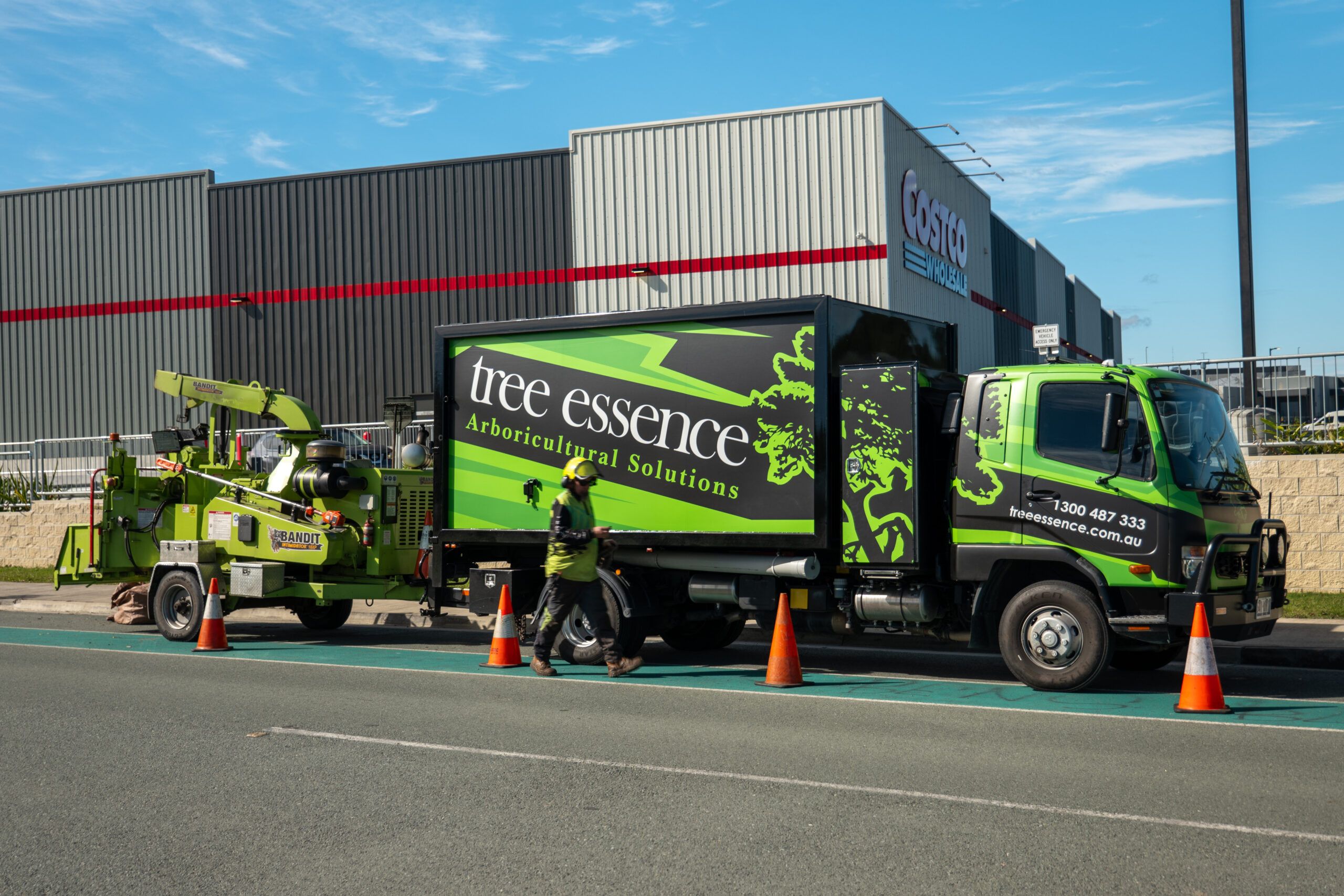 Professional Tree Removal Services Gold Coast | Arborist Services ...